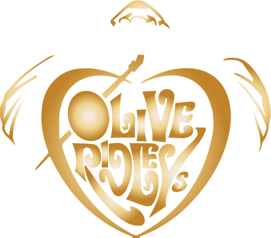 Restaurant | Bar | Live Music | Plattsburgh, NY | Olive Ridley's ...